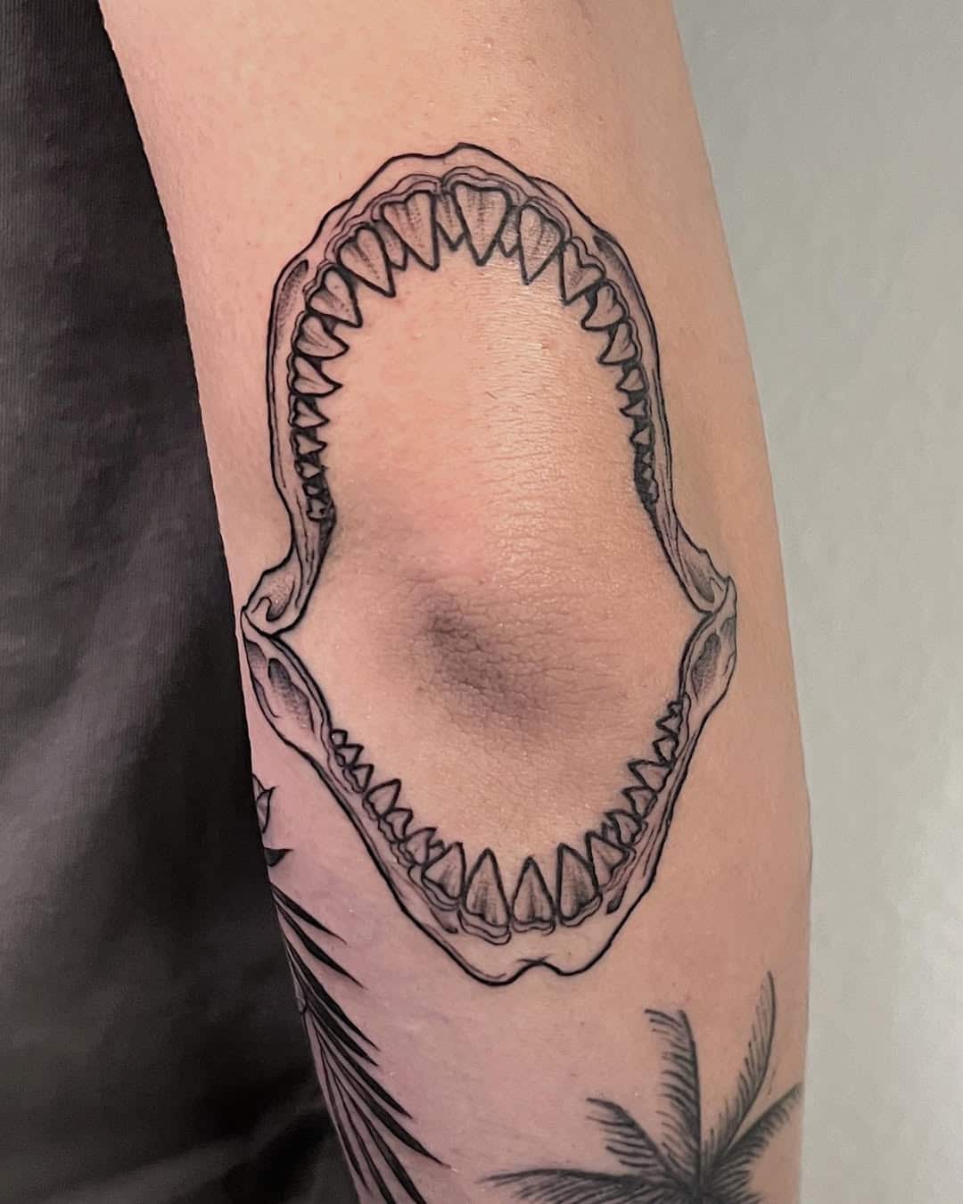 Shark Tattoo Meaning: The Complete Guide with lots of Tattoo